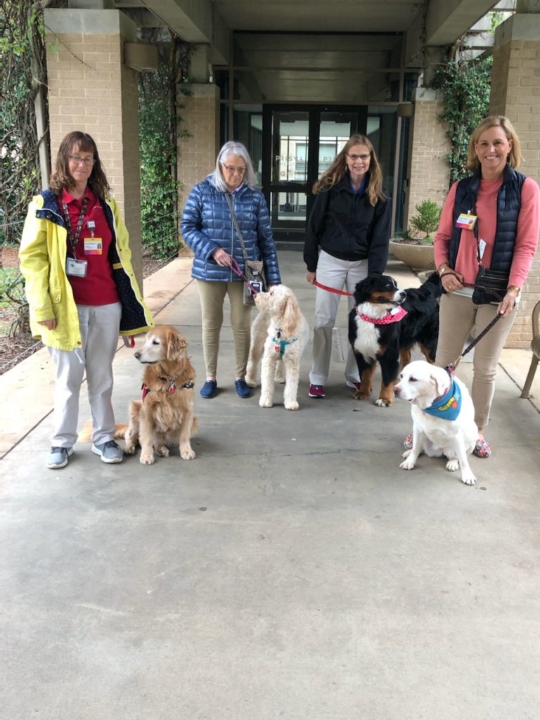 Photos – Upstate Therapy Dogs